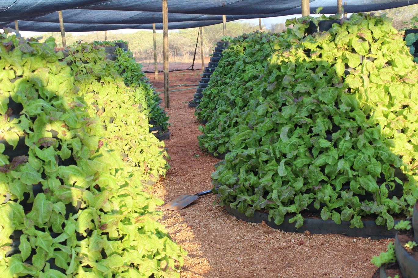 Mash-Mod PTY LTD | seed.uno