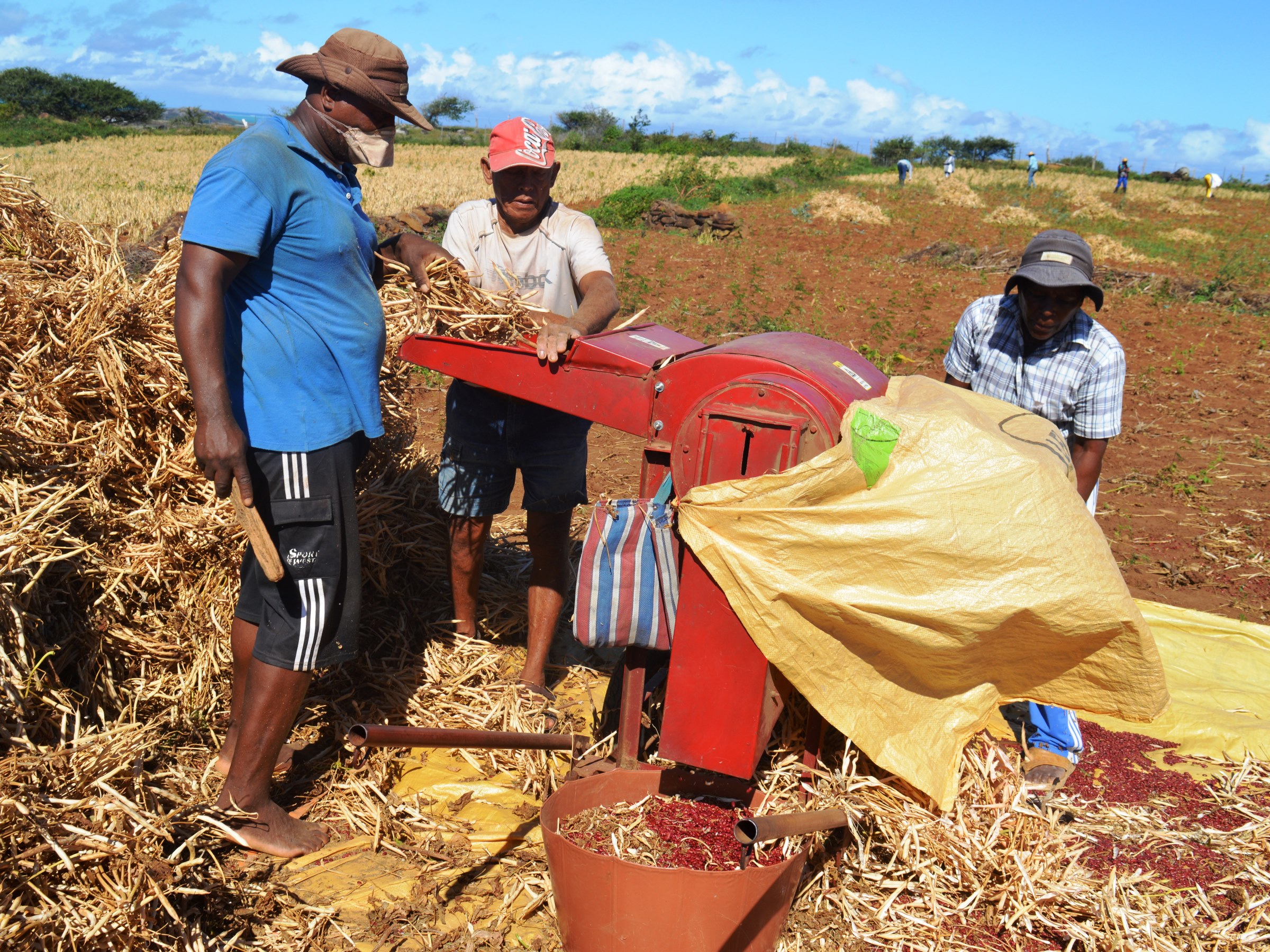 Walali Company Limited | seed.uno